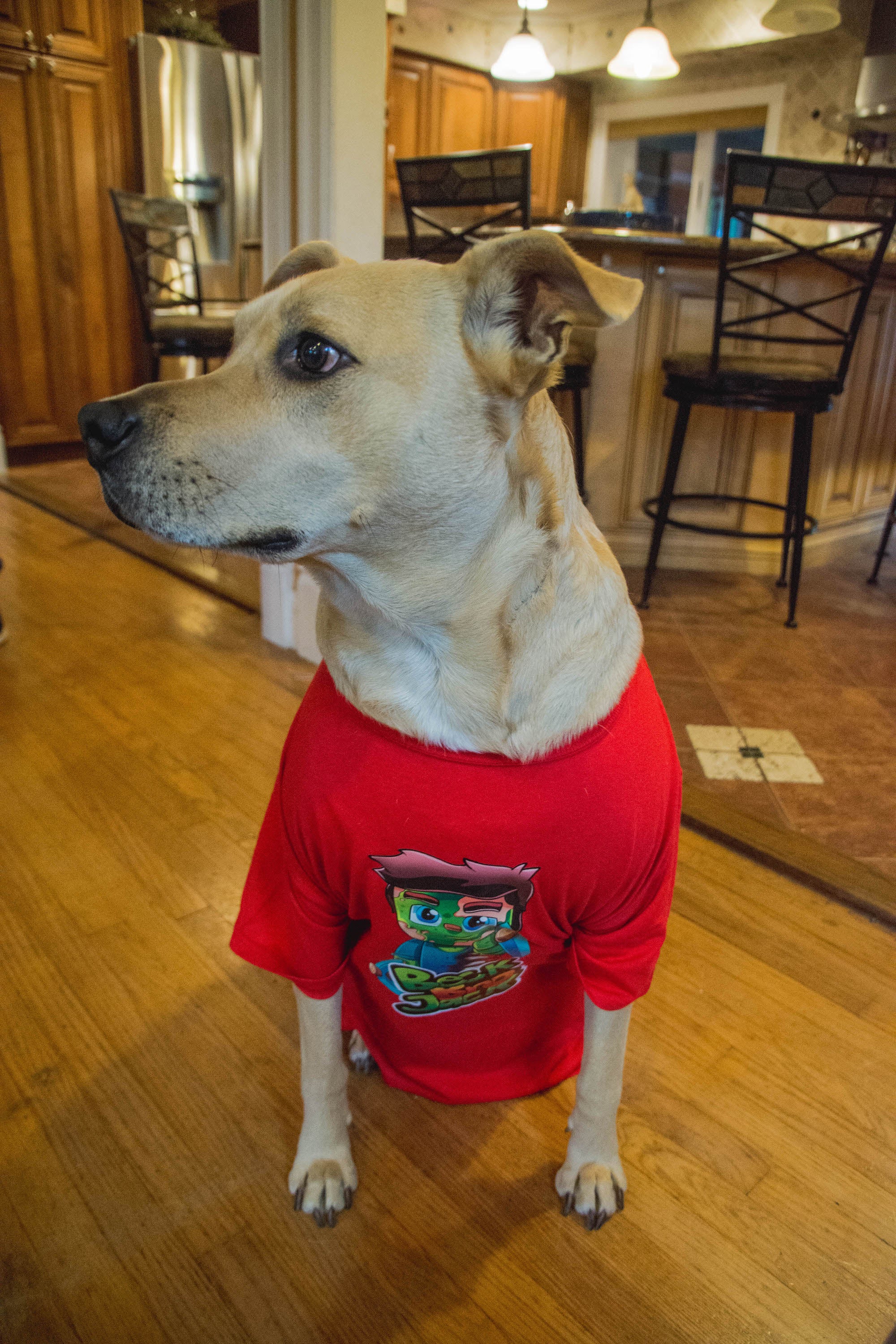 Red T-Shirt – BeckBroJack Merch